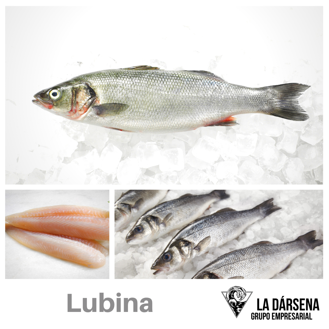 Lubina al horno | Recetas | La Dársena